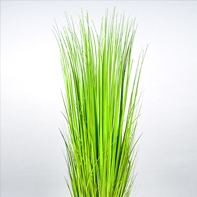 Tall Potted Grass - West Coast Event Productions, Inc.